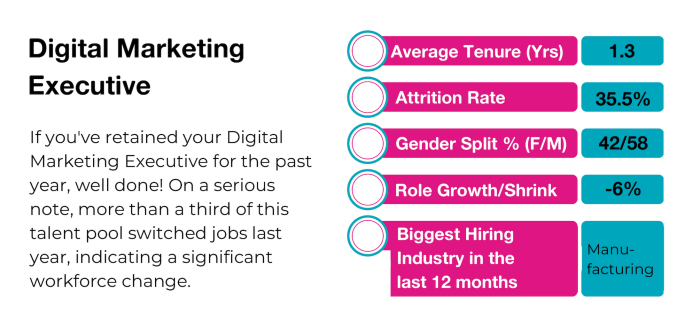 Digital Marketing Executive Job Description Guide